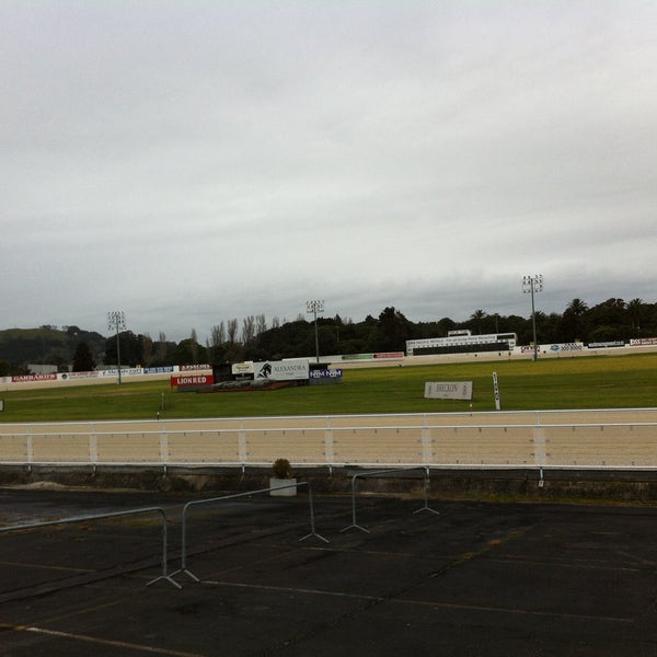 Alexandra Park Raceway - Epsom - 1 tip from 398 visitors