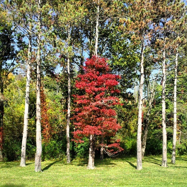 Metroparks Mill Stream Run Reservation South - 12 tips from 849 visitors