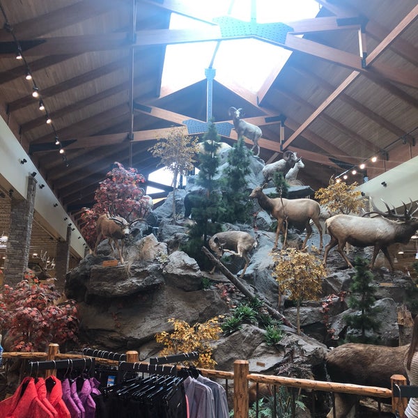 Cabela's - Sporting Goods Retail in Scarborough