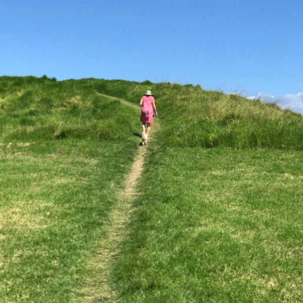 Mount Roskill Summit - Scenic Lookout in Mount Roskill