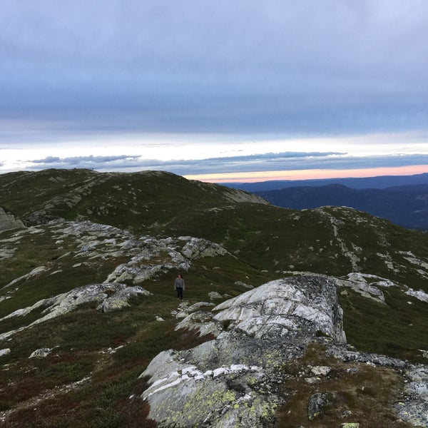 Lifjell - Lifjellvegen