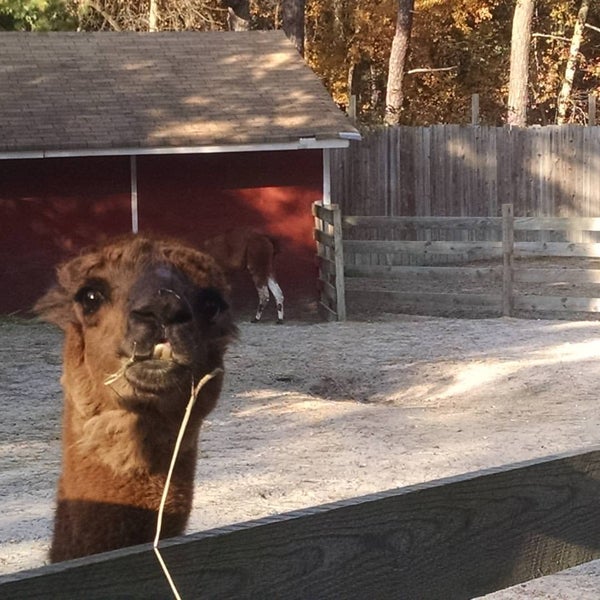 Photos at Popcorn Park Zoo - Zoo in Forked River
