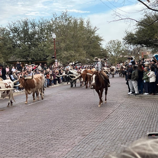 Stockyard Cattle Drive - 18 tips