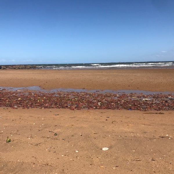 Redcliffe Beach - Beach
