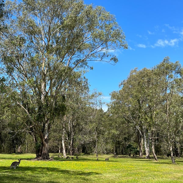 Coombabah Conservation Park - Coombabah, QLD