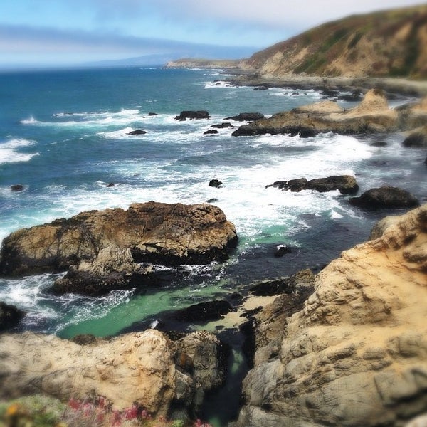 Bodega Head - 12 tips from 1191 visitors