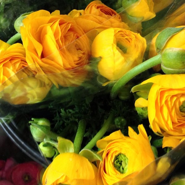 Sequoia Floral International - Flower Store in Santa Rosa