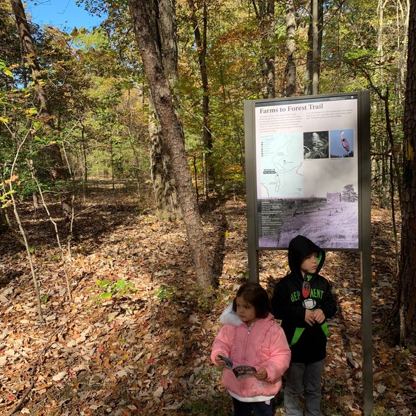 Oak Ridge Campground | Prince William Forest Park - Campground in Manassas