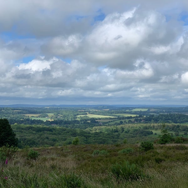 Ashdown Forest - Nature Preserve in High Weald