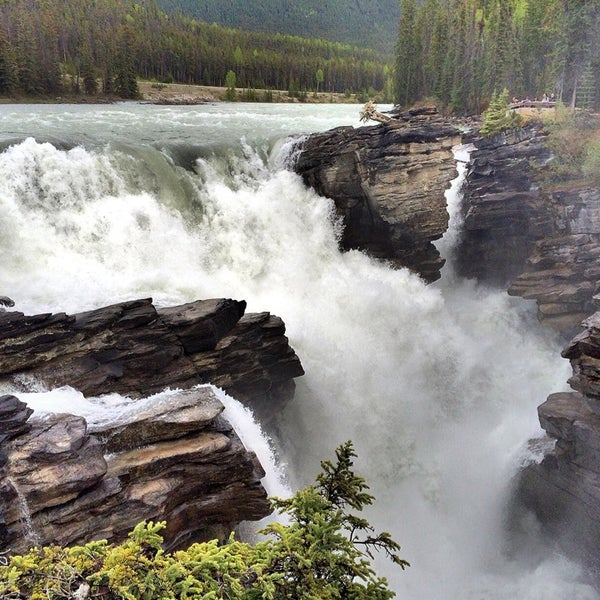 Athabasca Falls - Scenic Lookout