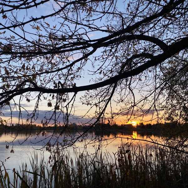 Photos at Telford Lake - Lake in Leduc