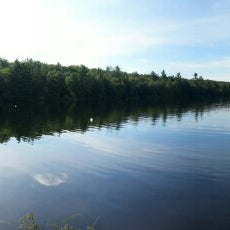 Forestburg Scout Reservation - 1945 Route 42