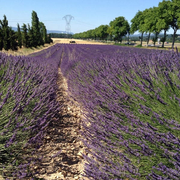 Dans les champs en Ardèche - Silhac, Auvergne-Rhône-Alpes