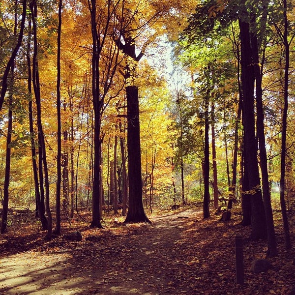 Goodyear Heights Metro Park - Goodyear Heights - 7 tips