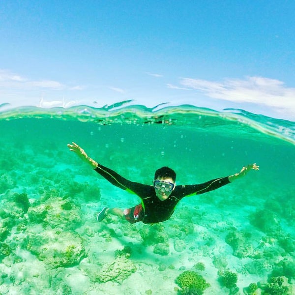 Nalusuan Island Resort & Marine Sanctuary - 2 tips from 166 visitors