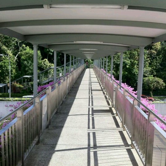 Pedestrian Overhead Bridge (No. 53405) - Bridge in Bukit Timah