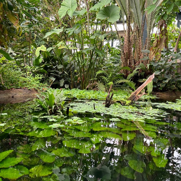 The Rose Hills Foundation