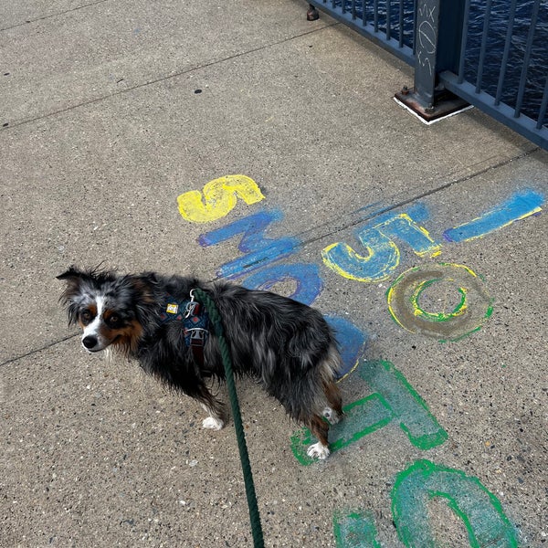 Harvard Bridge - Harvard Bridge