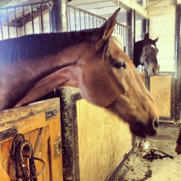 Boulder Brook Equestrian Center - 1 tip from 47 visitors