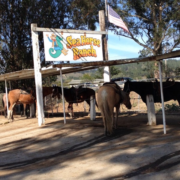 Sea Horse Ranch - 4 tips from 374 visitors