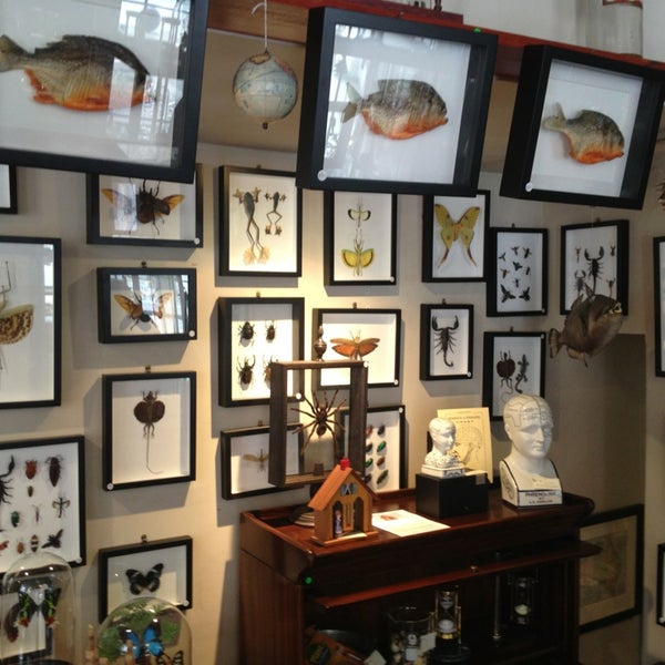 Wunderkammer - Melbourne CBD - Melbourne, VIC