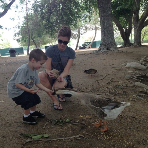 Hesperia Lake Park - Lake
