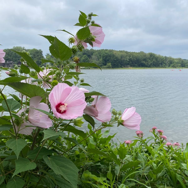 Sippo Lake Marina - 4 tips