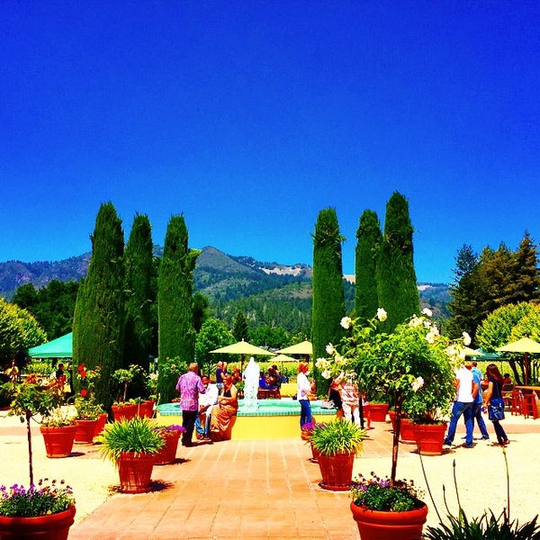 Photos at Landmark Vineyards - Winery in Kenwood