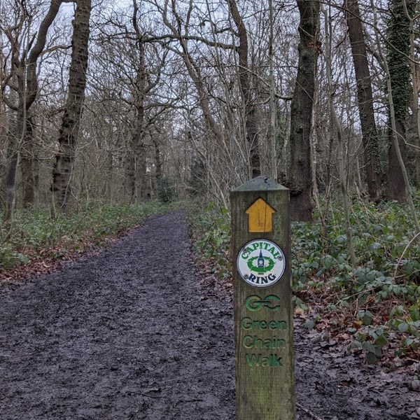 Oxleas Wood - 3 tips