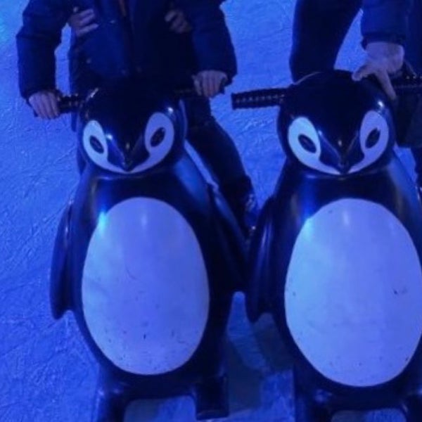 Photos at Maggie Daley Ice Skating Ribbon - Grant Park - Chicago, IL