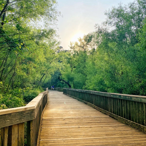 Lake Lynn Trail - Raleigh, NC