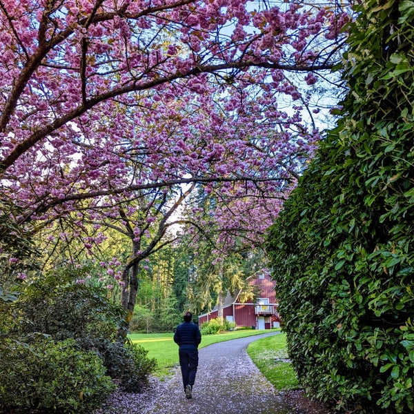 Photos at Robinswood Park - Park in Bellevue
