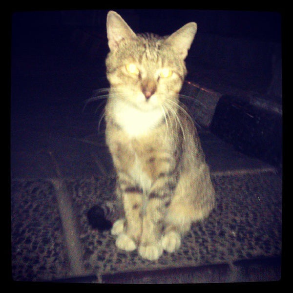 PT. Bitzer Compressor Indonesia - gunung putri,bogor - Jl.Raya Tlajung ...