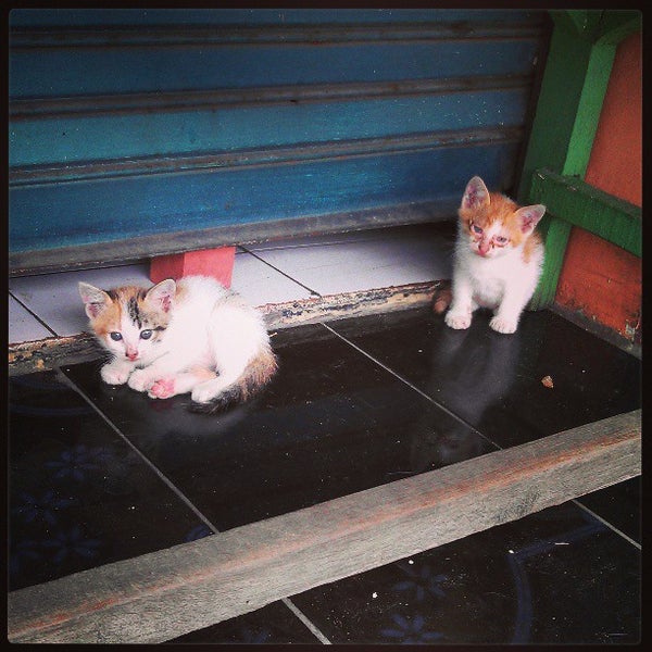 PT. Bitzer Compressor Indonesia - gunung putri,bogor - Jl.Raya Tlajung ...