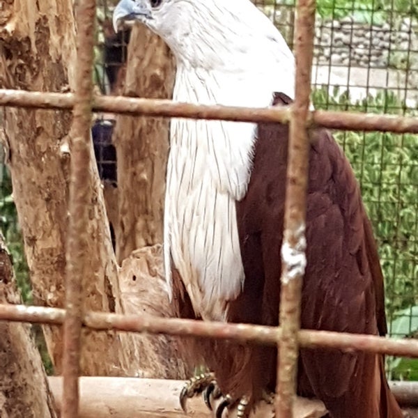 La Union Botanical Gardens - San Fernando