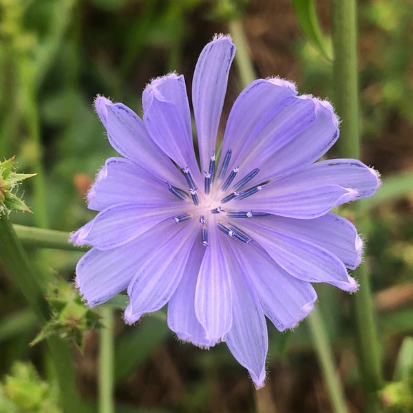 Photos at Wolftever Creek Boat Ramp - Harbor or Marina in Harrison Bay
