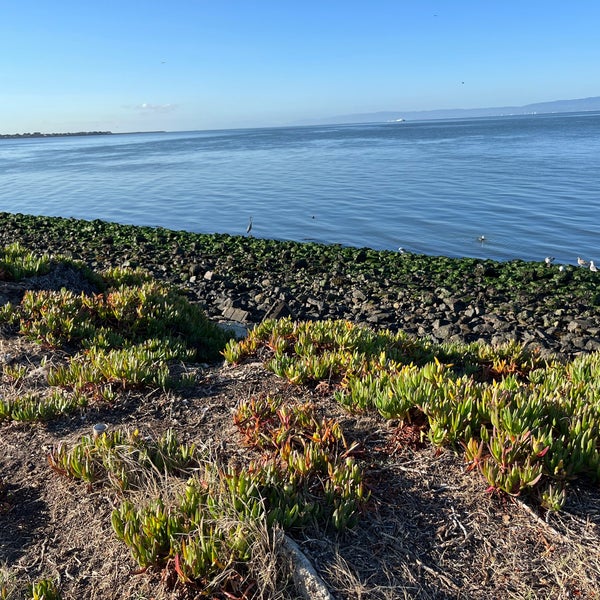 Ballena Bay Marina - Harbor or Marina in West End