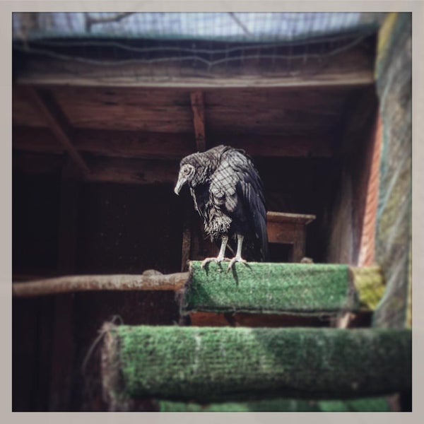 Great Valley Nature Center - Phoenixville, PA