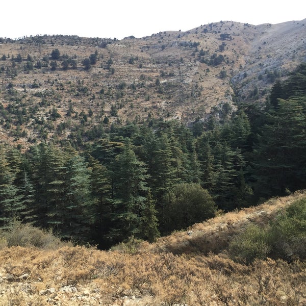 La Reserve Horsh Ehden - Campground