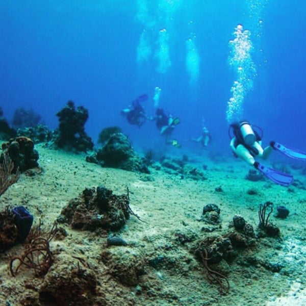 Palancar Reef - Cozumel, Quintana Roo