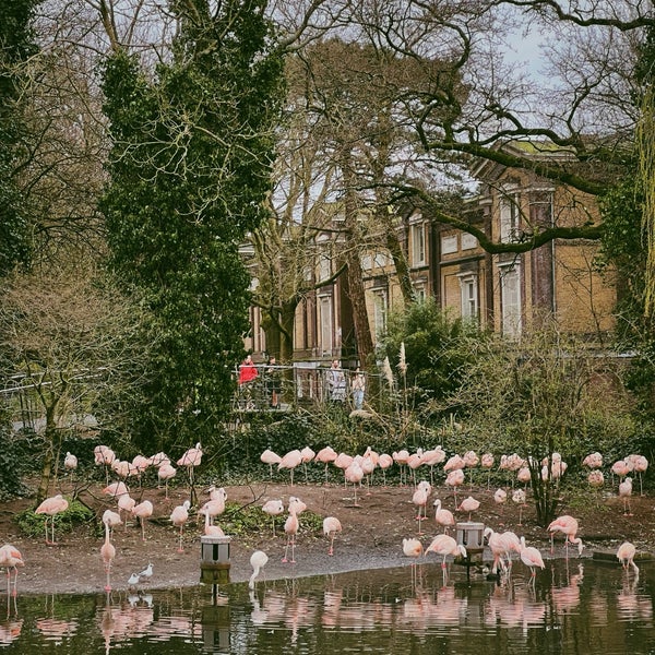 Artisplein - Plaza in Weesperbuurt en Plantage