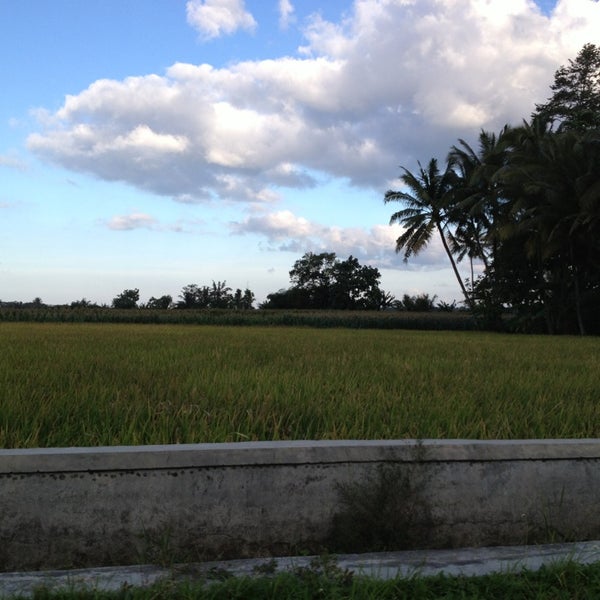 Top 10 dinner spots in Muncar, Indonesia