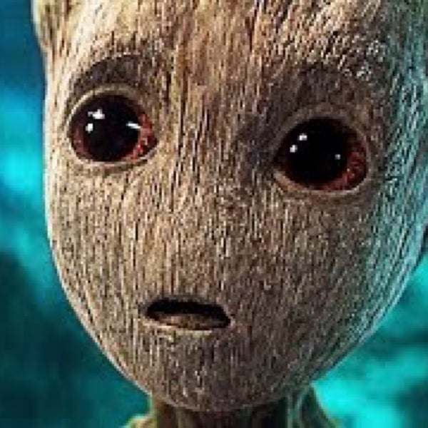 Cinépolis VIP Parque Toreo - Residencial Lomas de Sotelo - Blvd. Manuel ...