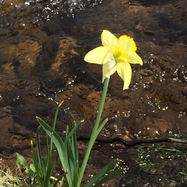 Linn Run State Park - State or Provincial Park