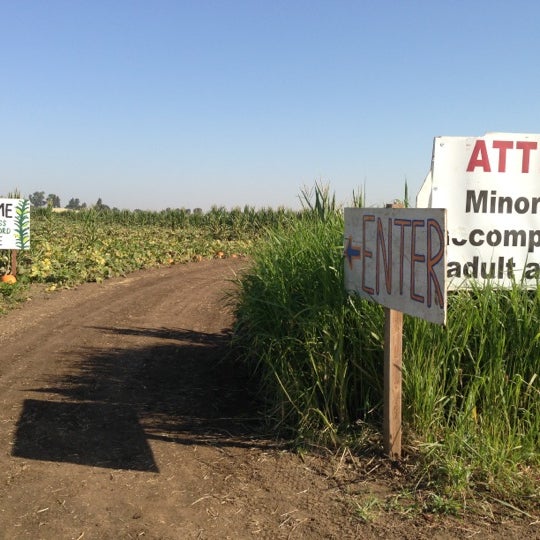 Cool Patch Pumpkins Now Closed Theme Park In Dixon 2899
