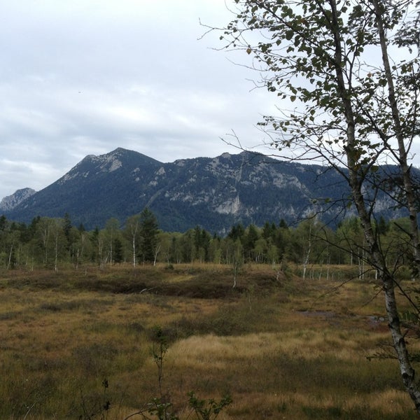 Inzeller Moorpfad - Inzell, Bayern