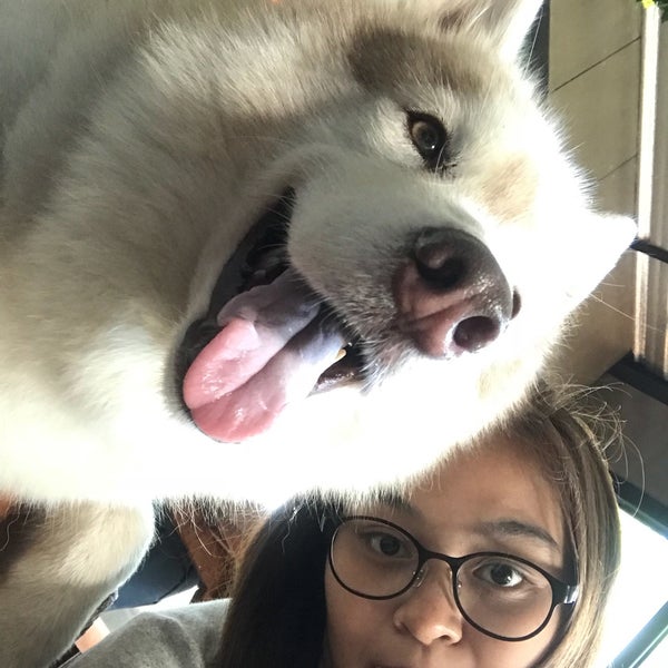 Inu Machi Cafe (Now Closed) - Café