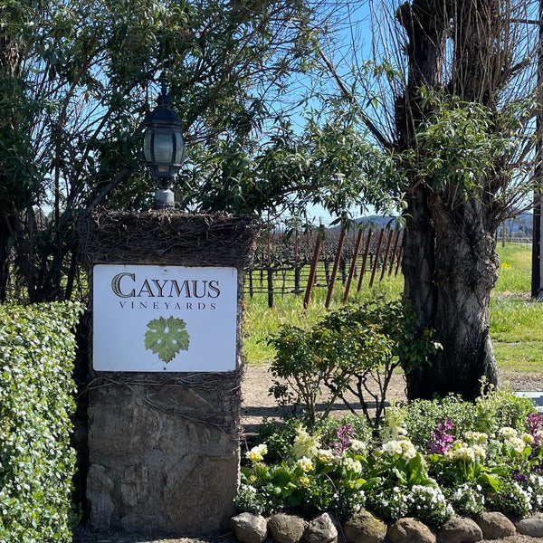 Caymus Vineyards - Vineyard