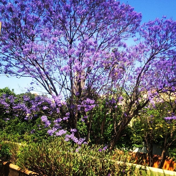 Biblioteca Benjamin Franklin de Monterrey ABP - Library in Monterrey