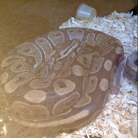 Petware House - 7777 Coldwater Rd